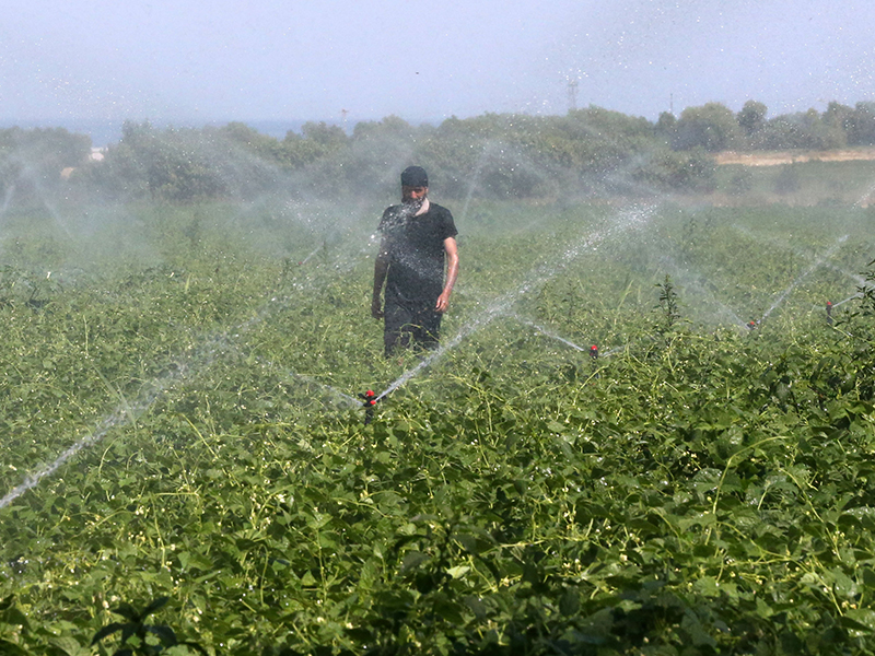 Tarıma kazandırılan arazilerle üretim artıyor - Bakanlık - Tarım Orman ...