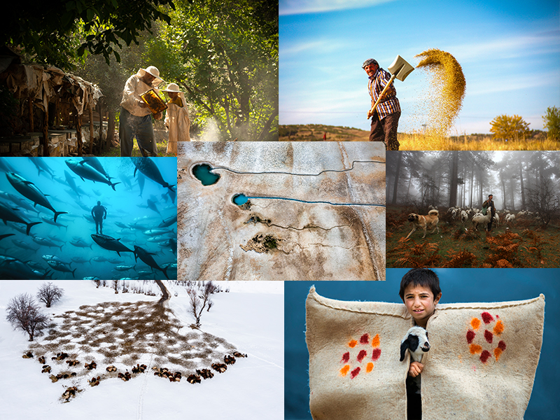 13. Tarım Orman ve İnsan Fotoğraf Yarışması sonuçlandı - Bakanlık ...