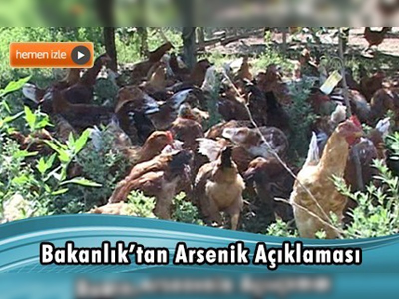 GTHB: ''Türkiye'de Roxarsone etken maddeli ürünlerin satışı yasak ...