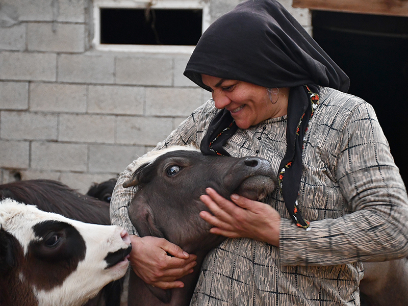 Ailesi için başladı, 50 mandalık ahırı oldu - Genel - Tarım Orman Ekranı