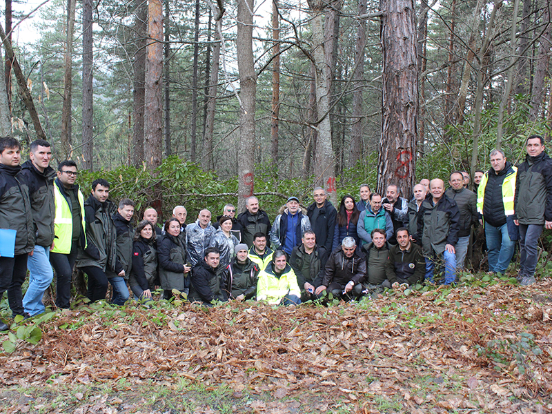 Kastamonu ve Sinop kestane balı merkezi olacak - Genel - Tarım Orman Ekranı