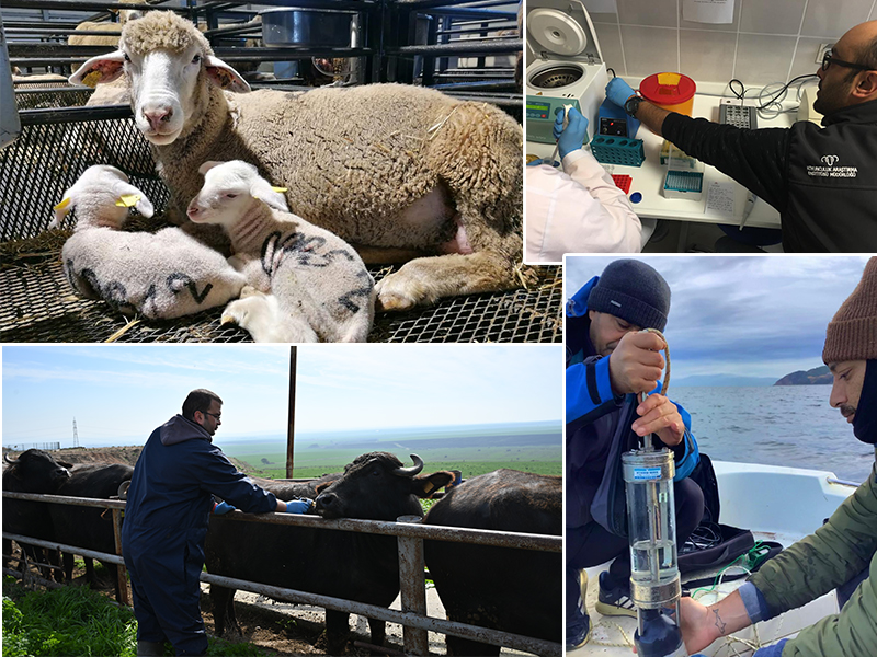 TAGEM projeleri Türk tarımının lokomotifi - Bakanlık - Tarım Orman Ekranı