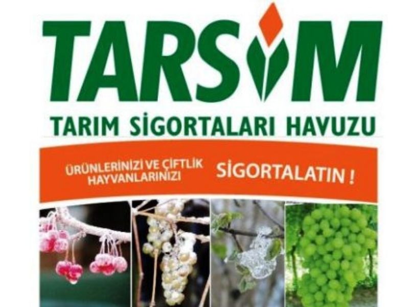TARSİM 27 milyar lira hasar ödemesi yaptı - Bakanlık - Tarım Orman Ekranı