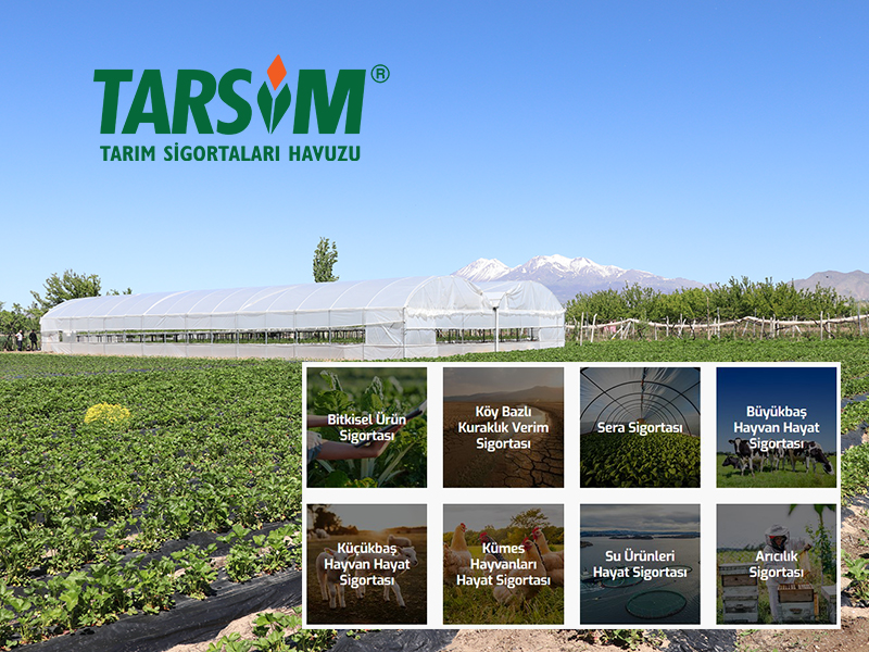 TARSİM çiftçinin yaralarını 3,6 milyar lirayla sardı - Bakanlık - Tarım ...