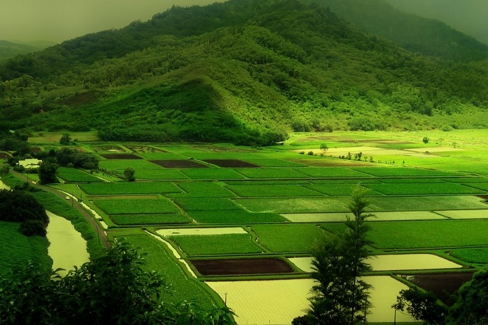 51 ova "büyük ova koruma alanı" olarak belirlendi - Genel - Tarım Orman ...