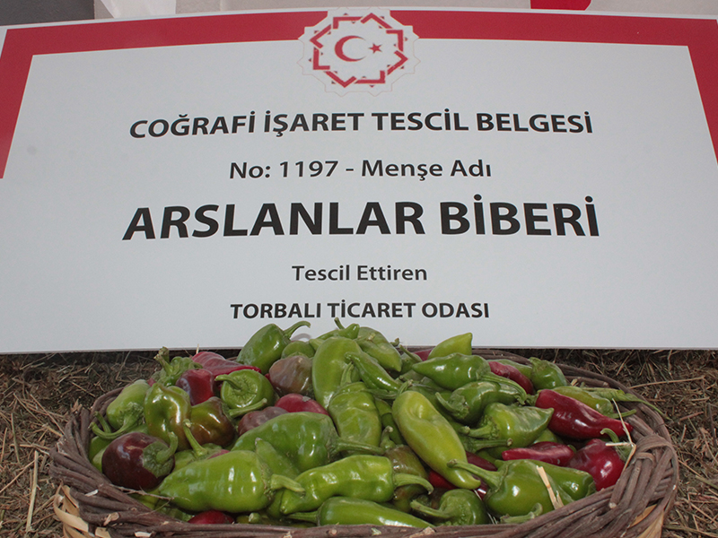 Tescilli ‘aslanlar biberi’ tanıtıldı - Genel - Tarım Orman Ekranı